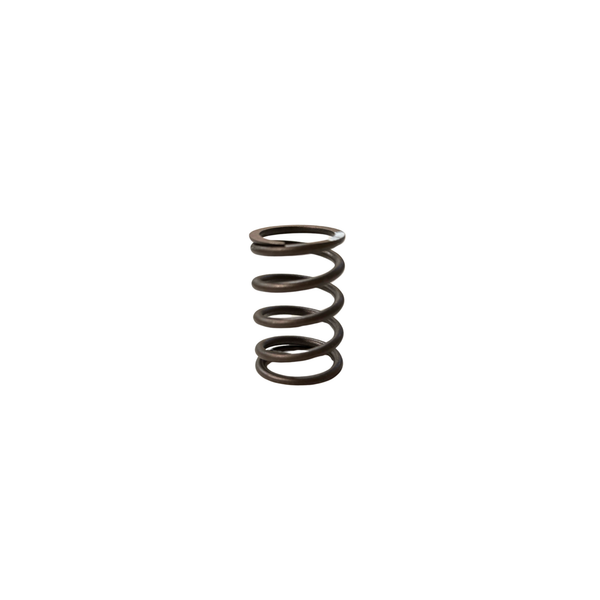 Talos T60X D14000iE Valve Spring | Drone Spray Pro